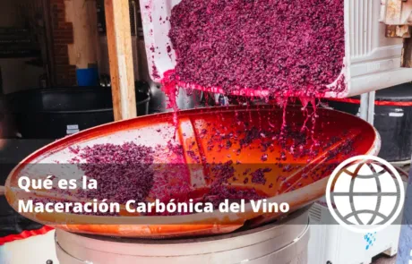 Métodos de Fermentación del Vino
