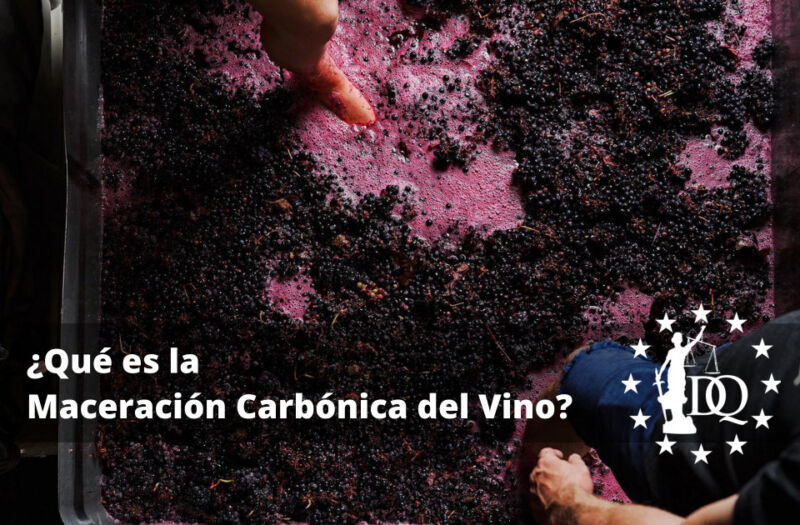 ¿Qué es la Maceración Carbónica del Vino?